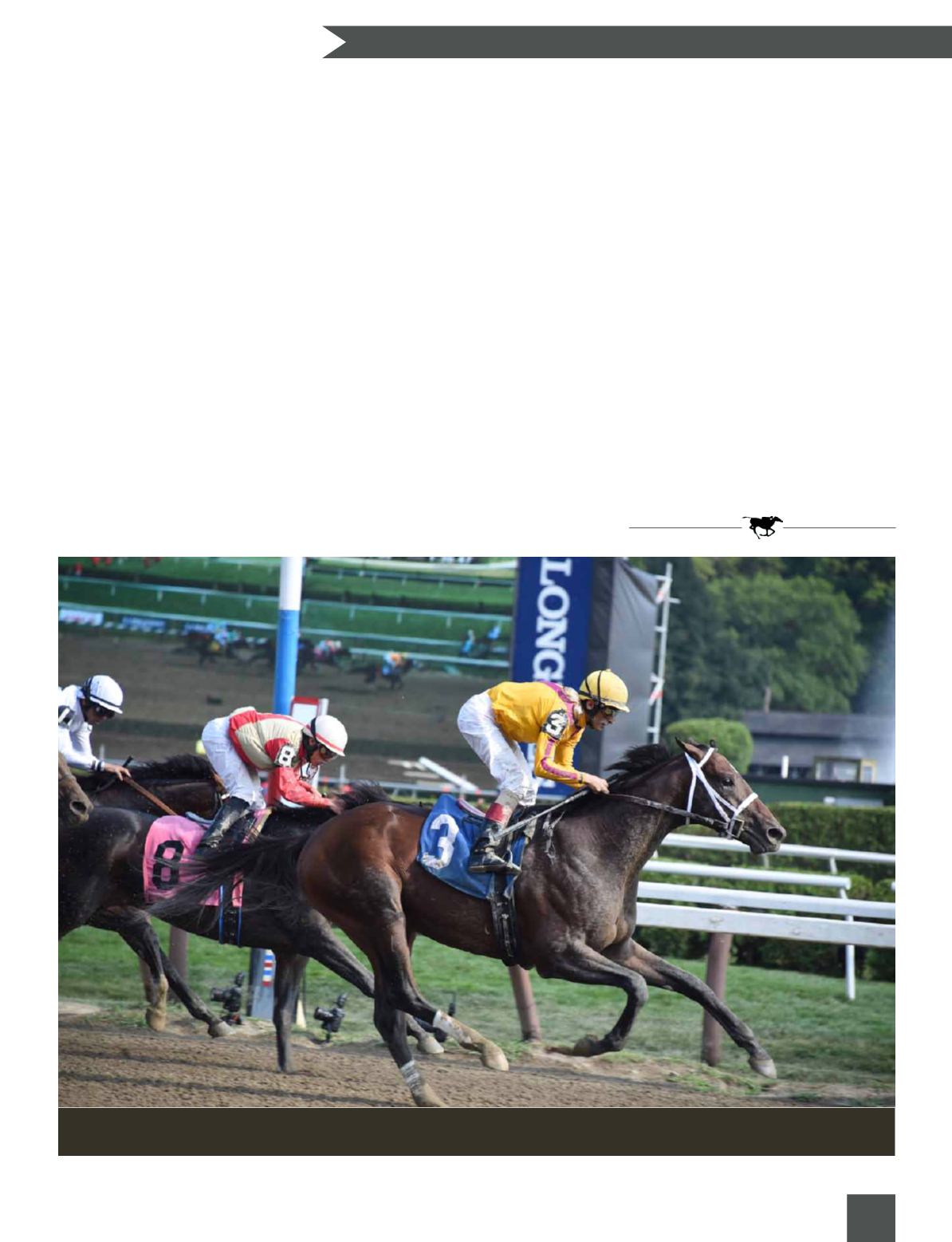 American Turf Magazine | December 2015 - January 2016